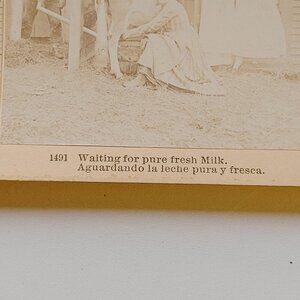 STEREOGRAPH | Accents | Antique Stereograph Card Farm Scenes Waiting ...